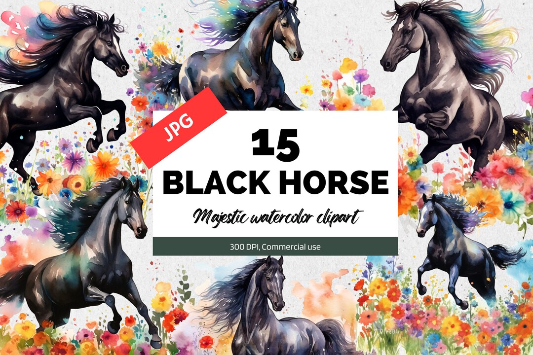 Watercolor Black Horse Clipart, High Quality JPG, Card Making ...