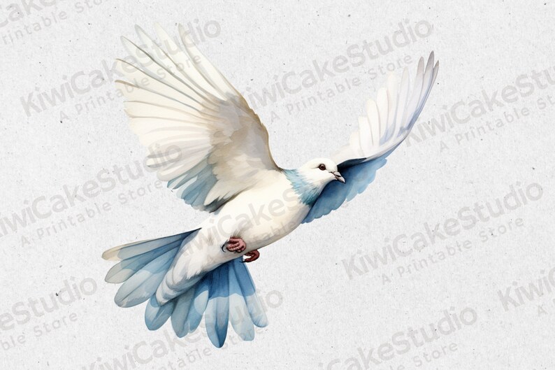 Watercolor Doves Clipart, 10 High Quality Jpgs, Commercial Use, Instant ...