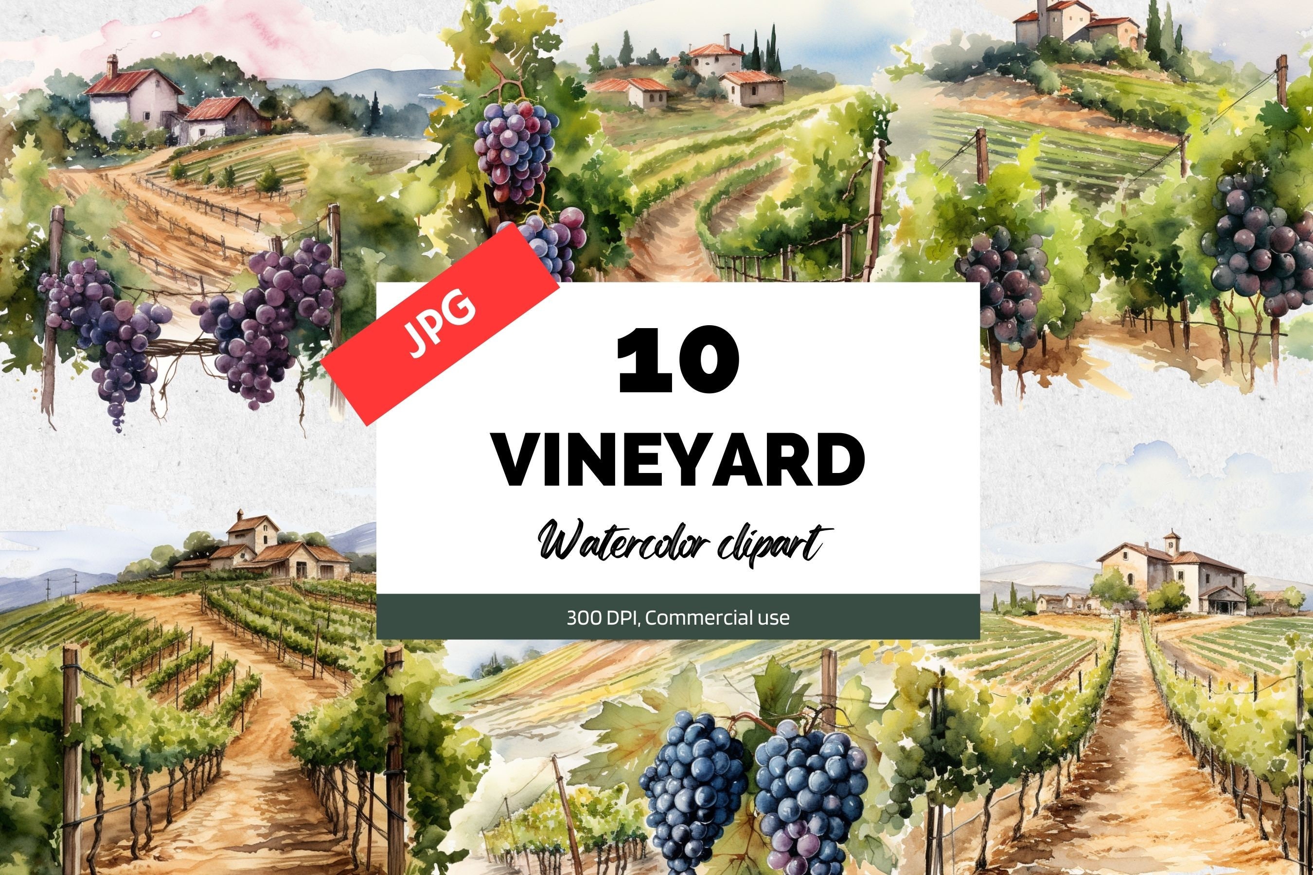 Watercolor Vineyard Clipart, 10 High Quality JPG, Commercial Use ...