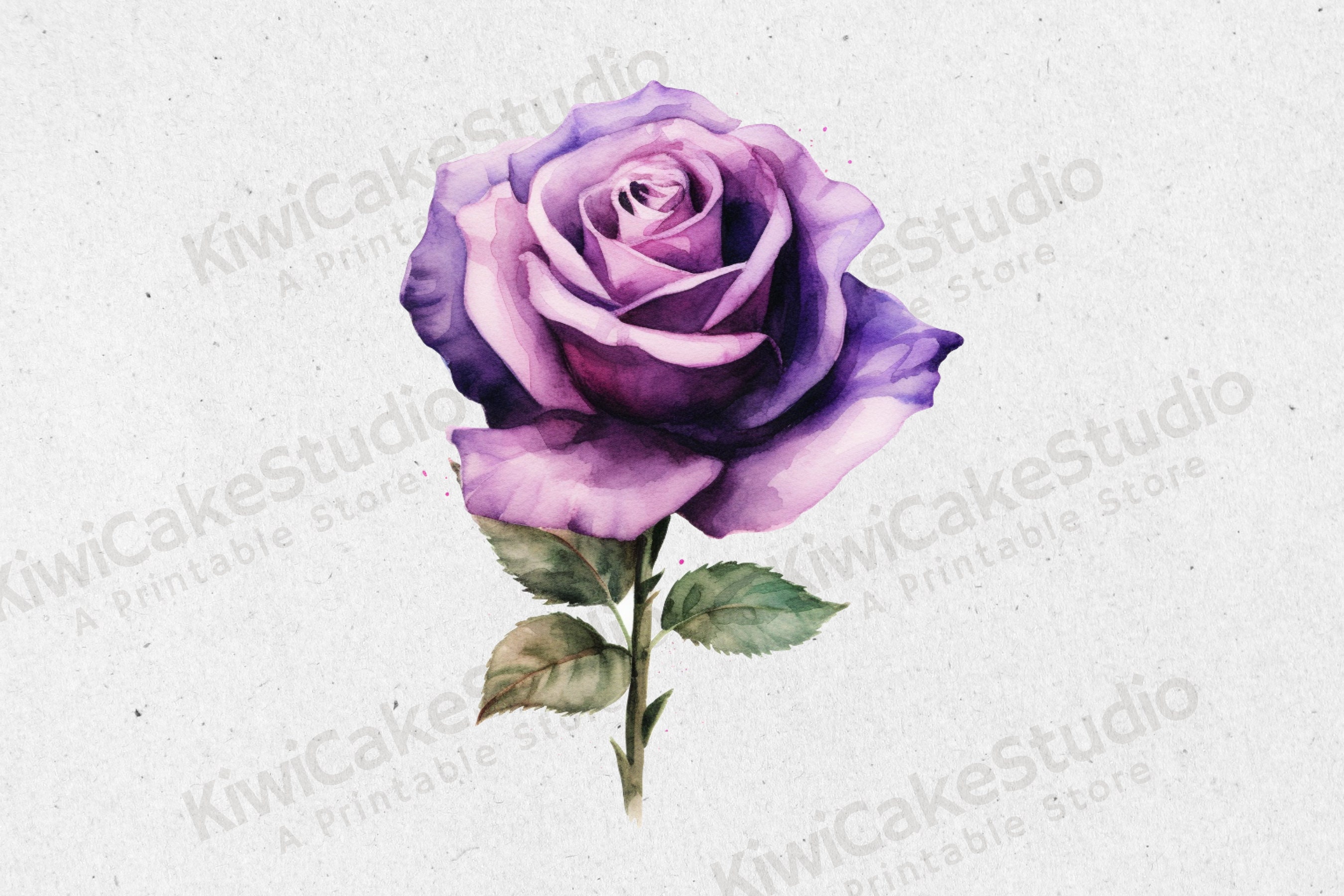 Purple Watercolor Roses Clipart, Floral Clipart, 10 High Quality Jpgs ...