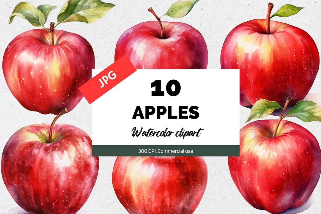 Watercolor Apples Clipart, Botanical Summer Fruit, Cookbook Digital ...