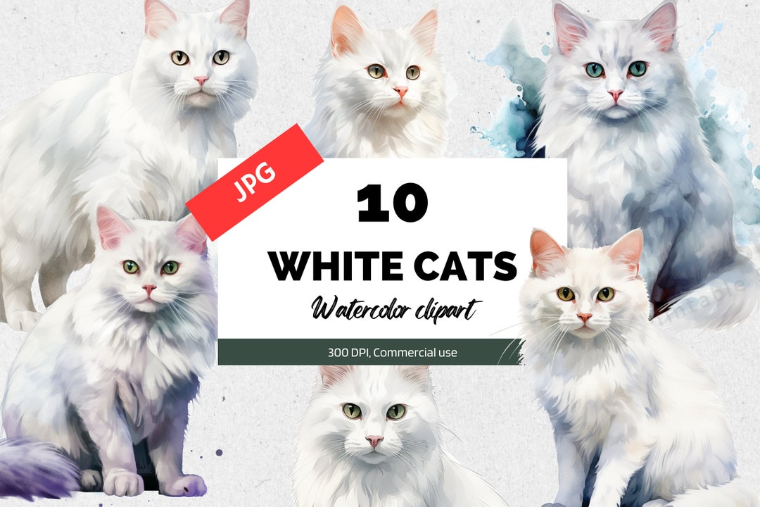 Watercolor White Cat Clipart. 10 High Quality Jpgs, Cute Cats and ...