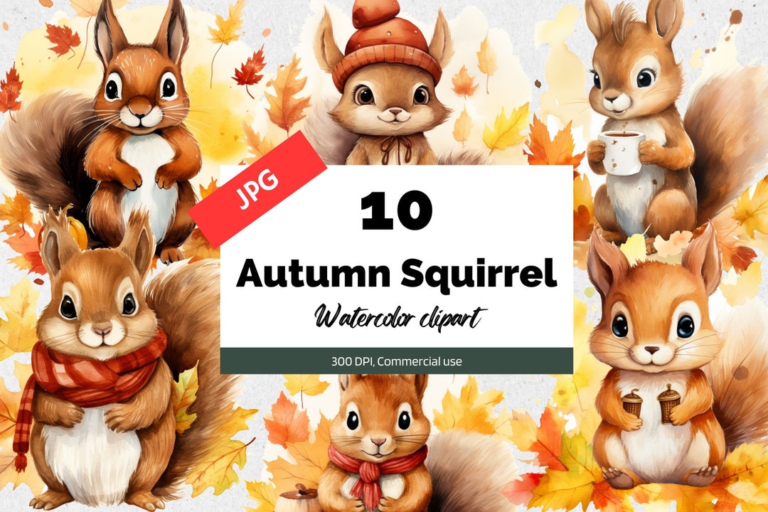 Watercolor Autumn Squirrel Clipart, 10 High Quality Jpgs, Commercial ...