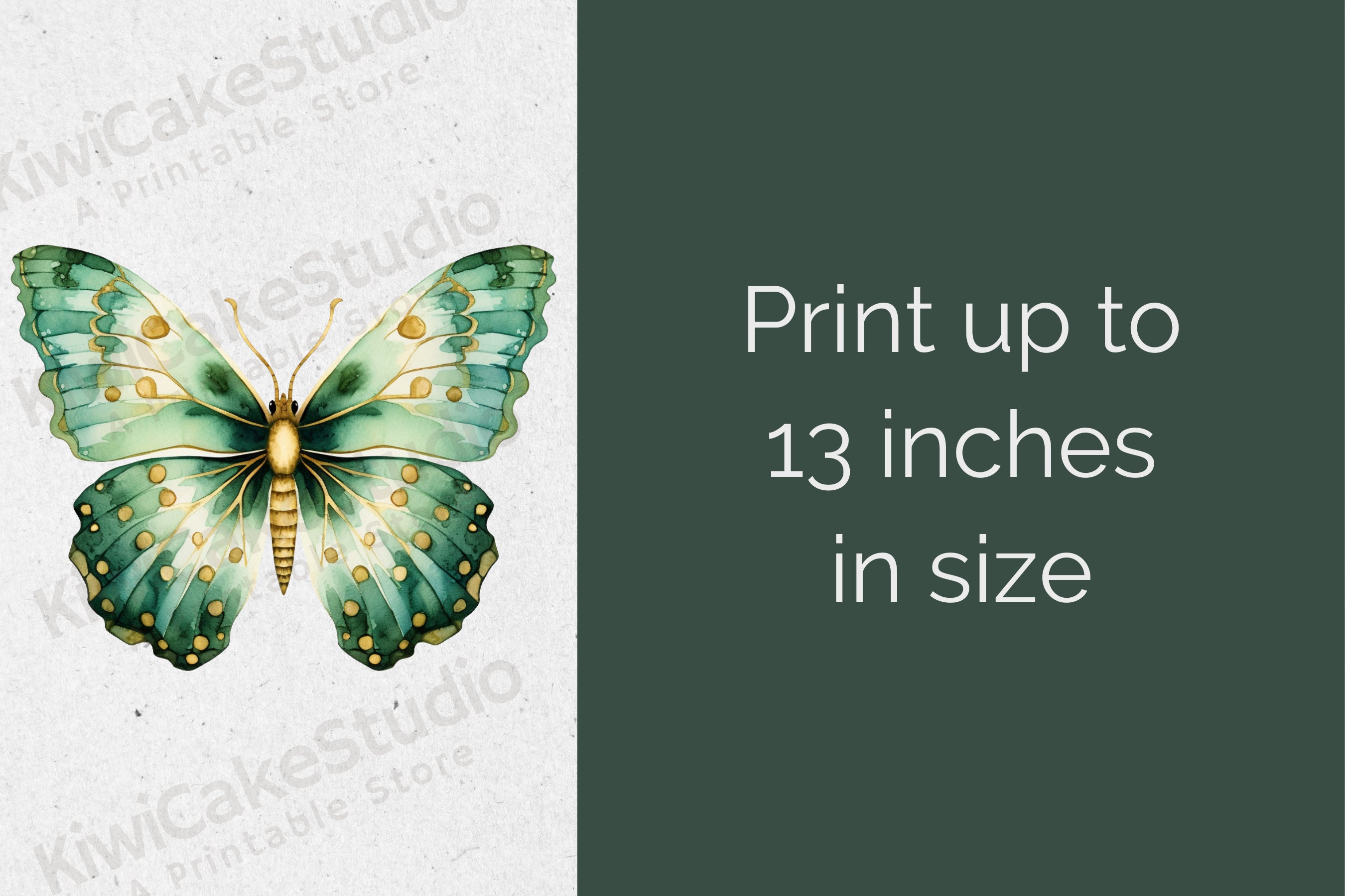 Green and Gold Butterfly Clipart, 10 High Quality Jpgs, Green ...
