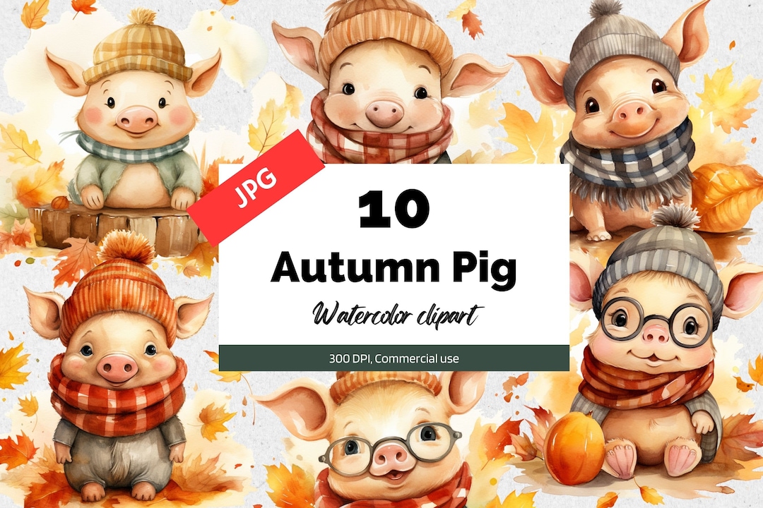 Watercolor Autumn Pig Clipart, 10 High Quality JPG, Commercial Use ...