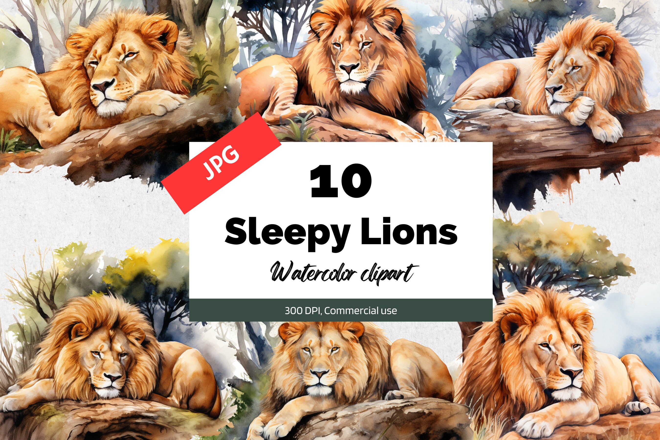 Watercolor Sleepy Lions Clipart, 10 High Quality Jpgs, Scrapbook Images ...