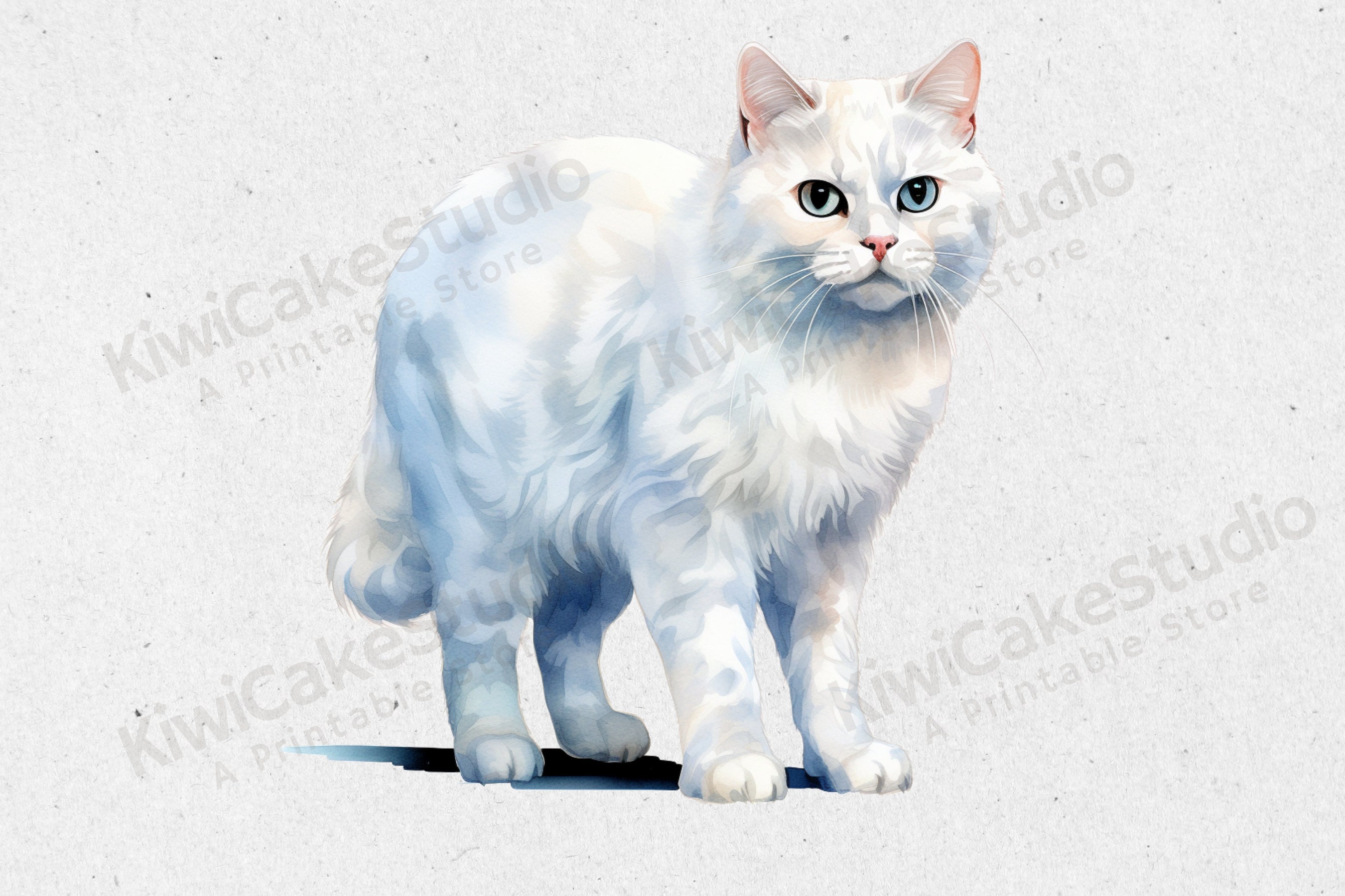 Watercolor White Cat Clipart. 10 High Quality Jpgs, Cute Cats and ...