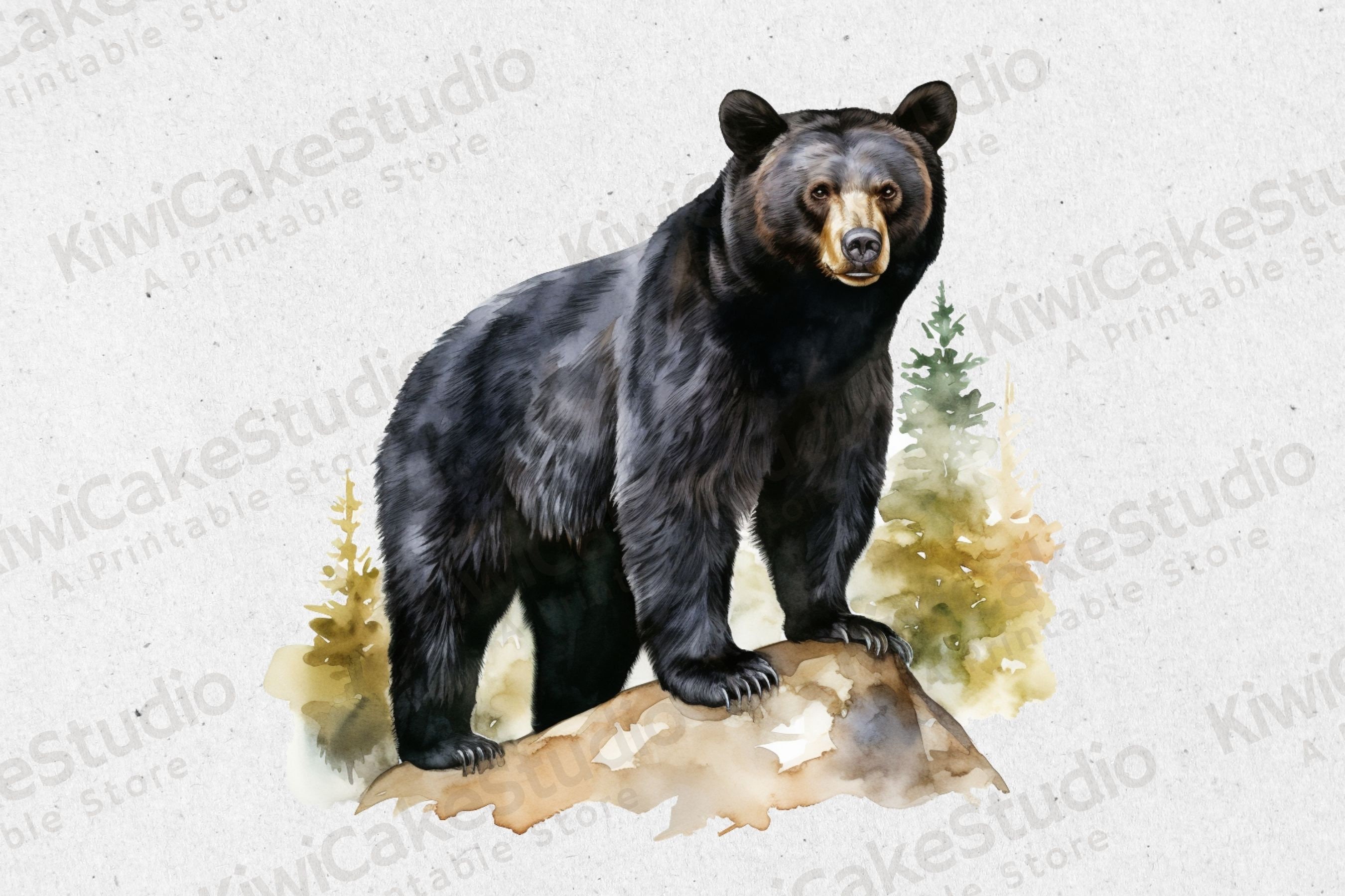 Watercolor Black Bear Clipart, 10 High Quality Jpgs, Commercial Use ...