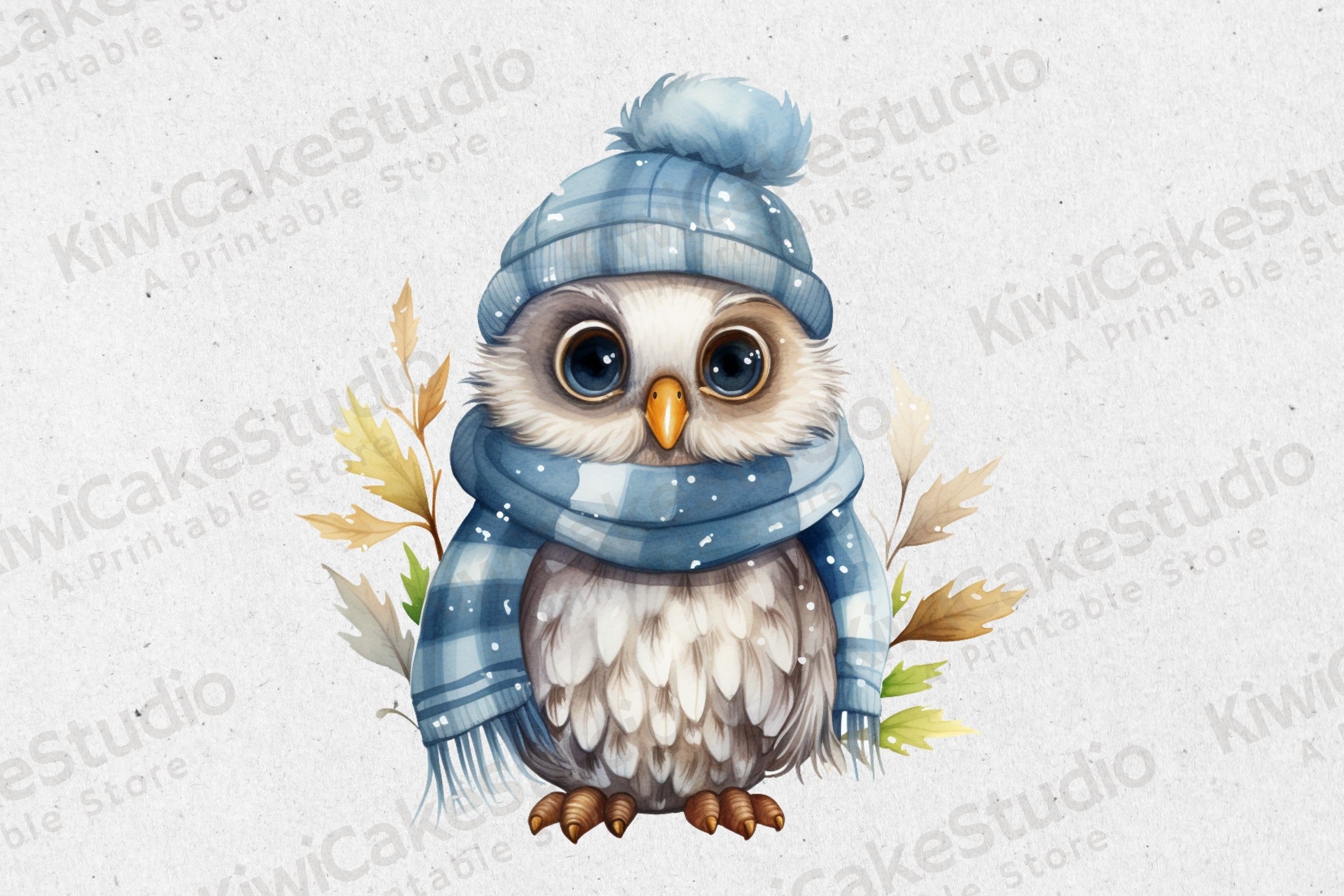 Watercolor Winter Owl Clipart, 10 High Quality Jpgs, Commercial Use ...