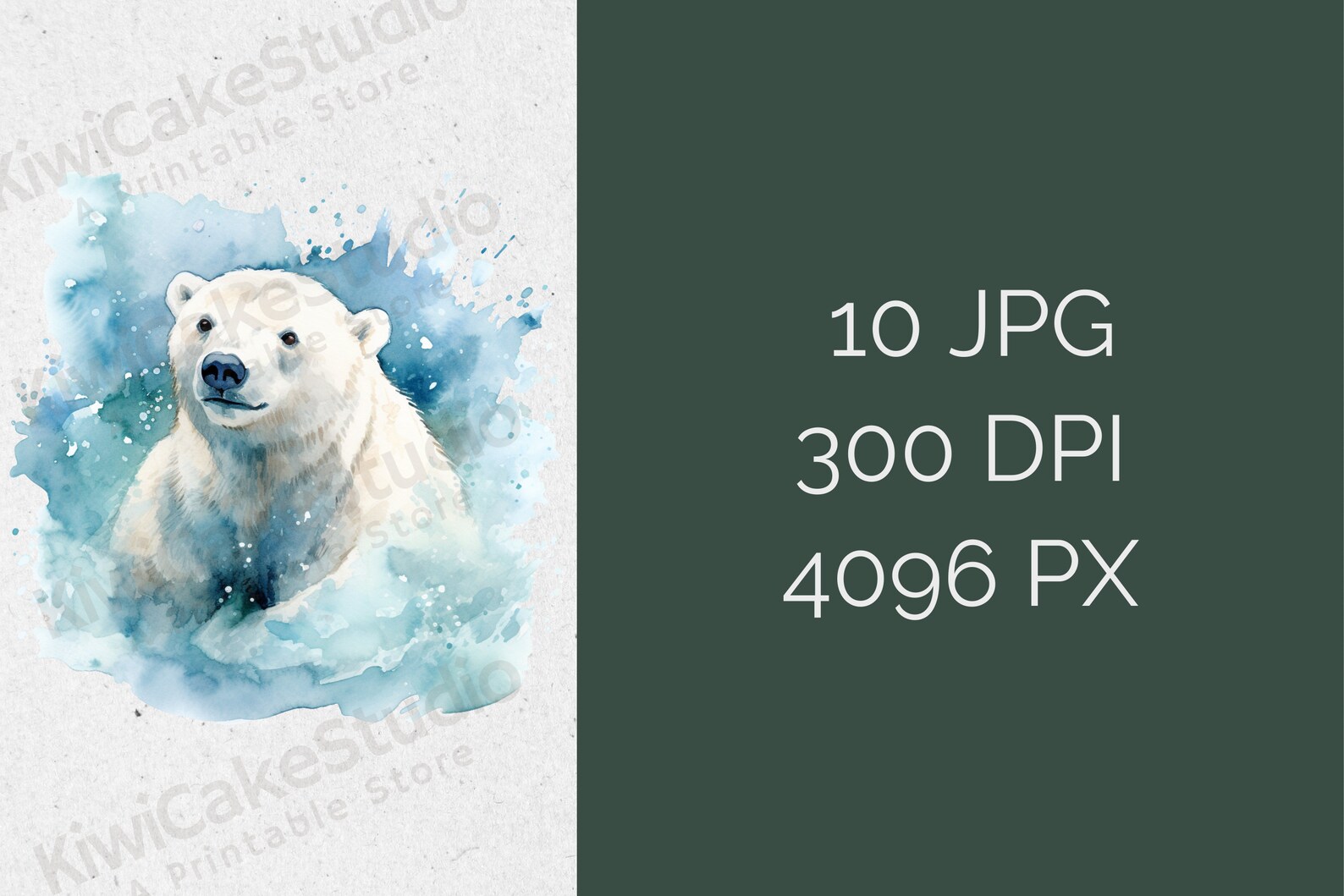 Watercolor Polar Bear Clipart, 10 High Quality Clipart, Card Making ...