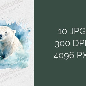 Watercolor Polar Bear Clipart, 10 High Quality Clipart, Card Making ...