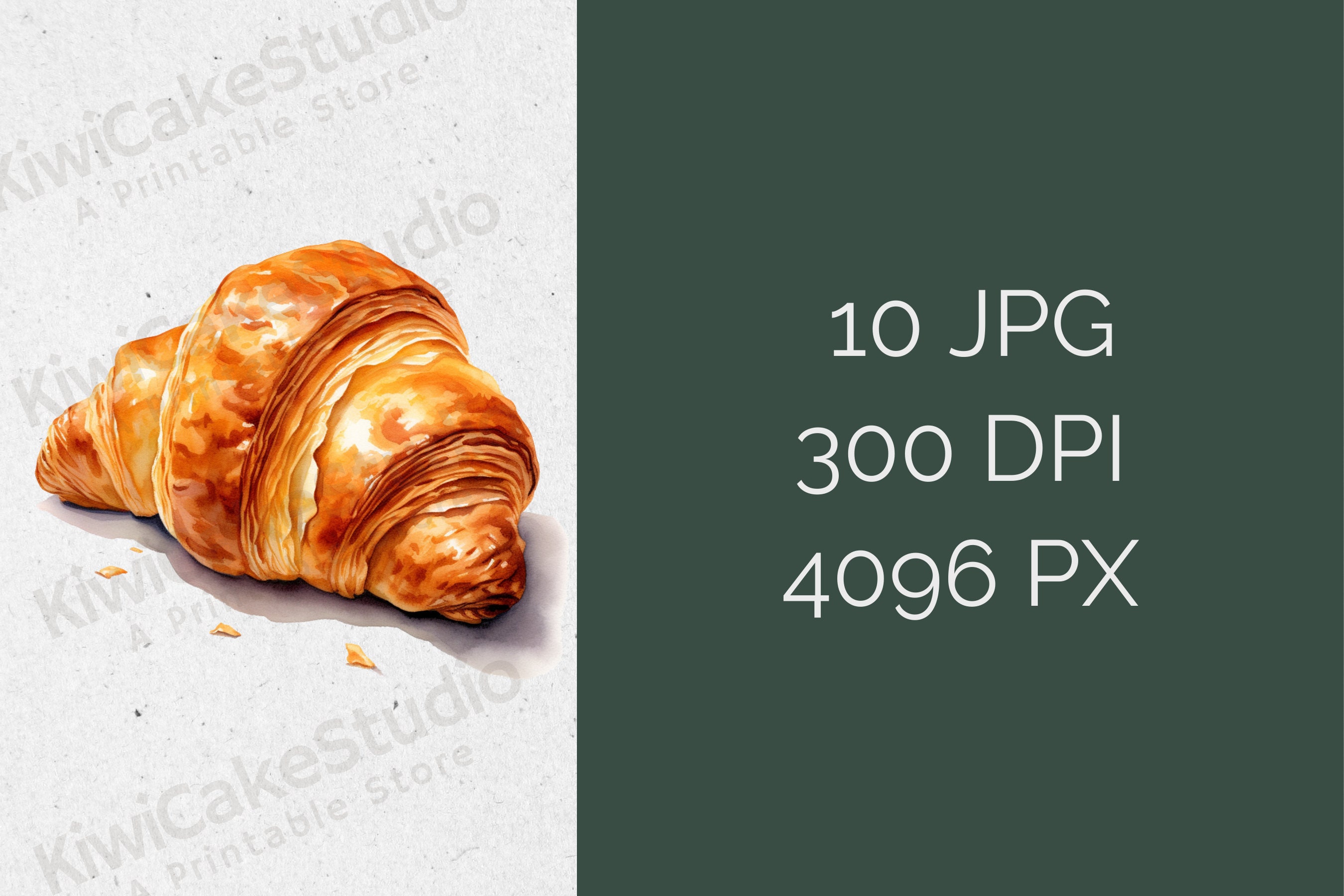 Watercolor Bread and Grains Clipart, 10 High Quality Jpgs, Pasta, Rice ...