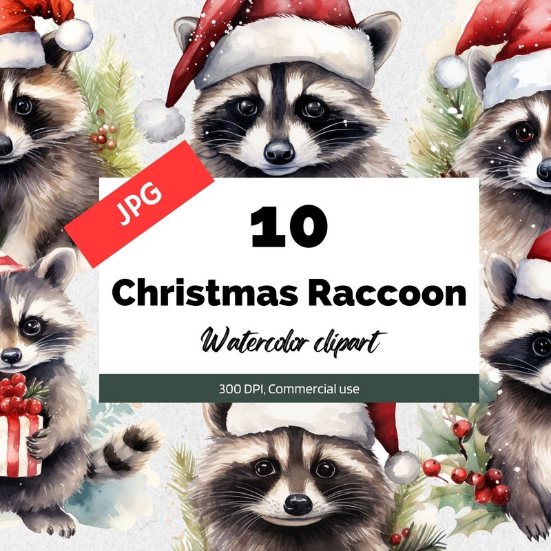 Raccoon Christmas Clipart - Etsy