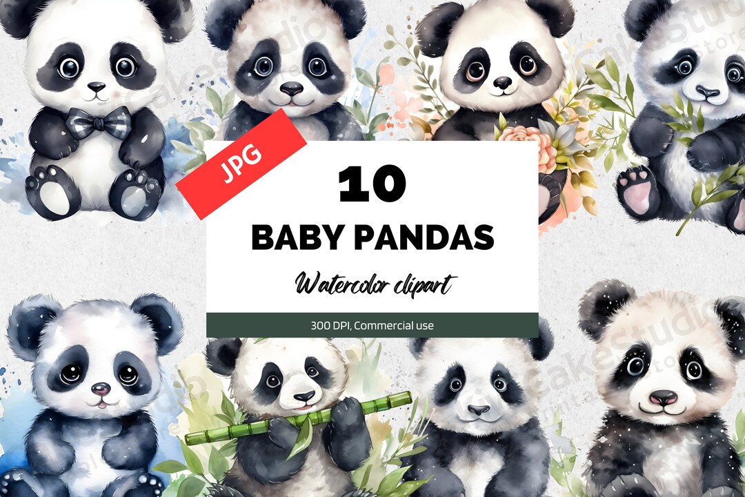 Watercolor Baby Panda Clipart, JPG, Digital Download, Commercial Use ...