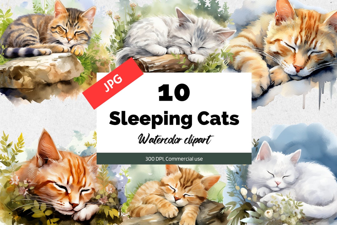 Watercolor Sleeping Cats Clipart, 10 High Quality JPG, Cute Cat Clip ...