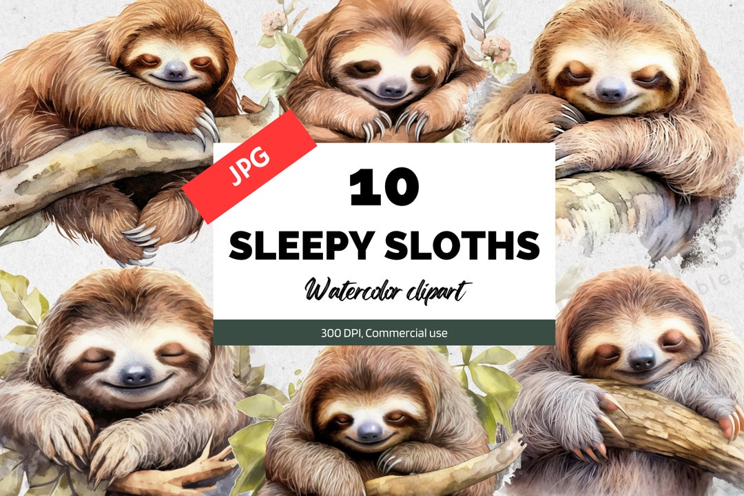 Watercolor Sloths Clipart, High Quality Jpgs, Commercial Use, Digital Download, Cute Sloths ...