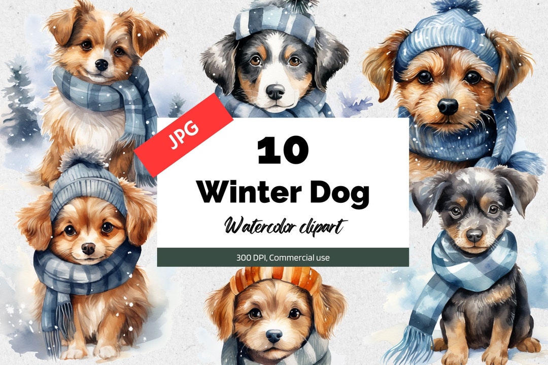 Winter Dog Clipart, 10 High Quality JPG, Commercial Use, Instant ...