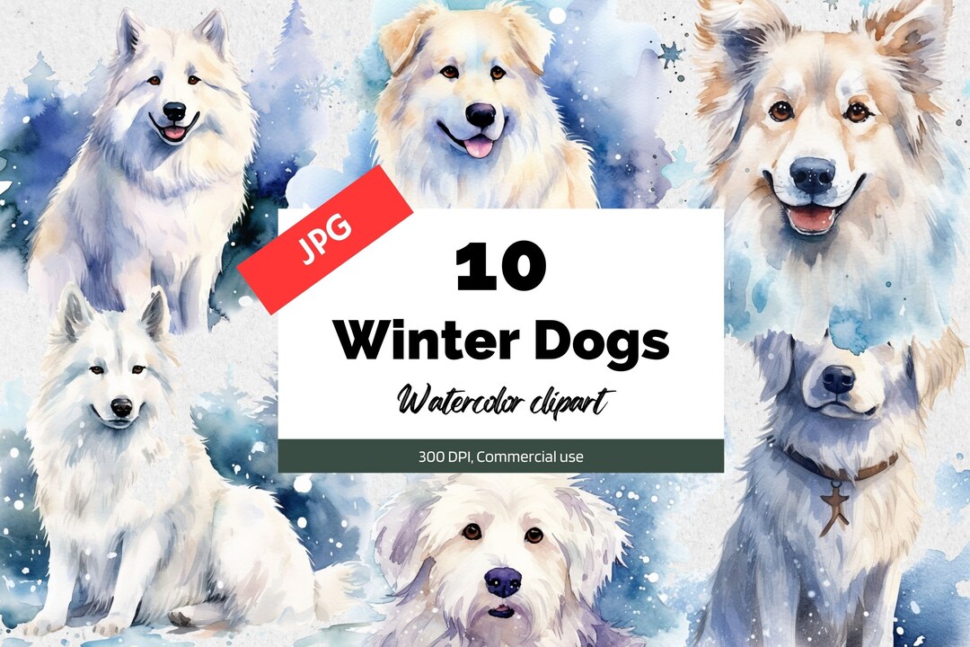Watercolor Winter Dog Clipart, 10 High Quality Jpgs, Commercial Use ...