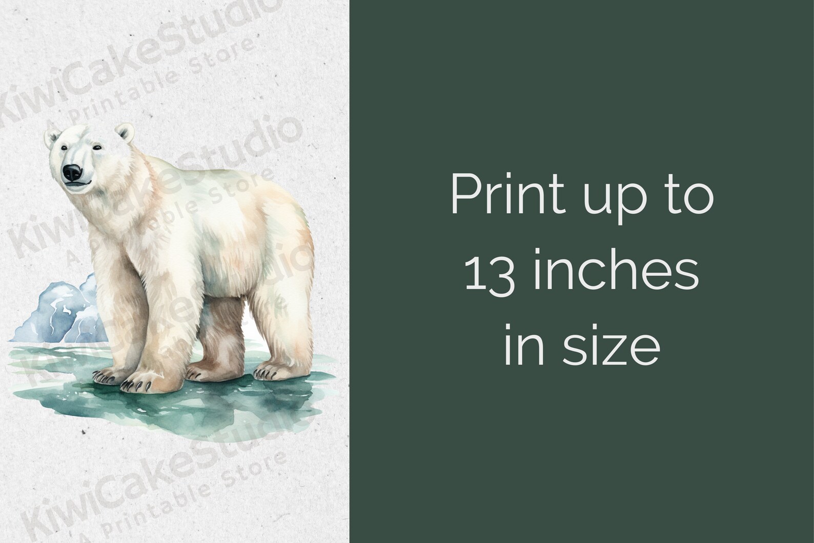 Watercolor Polar Bear Clipart, 10 High Quality Clipart, Card Making ...