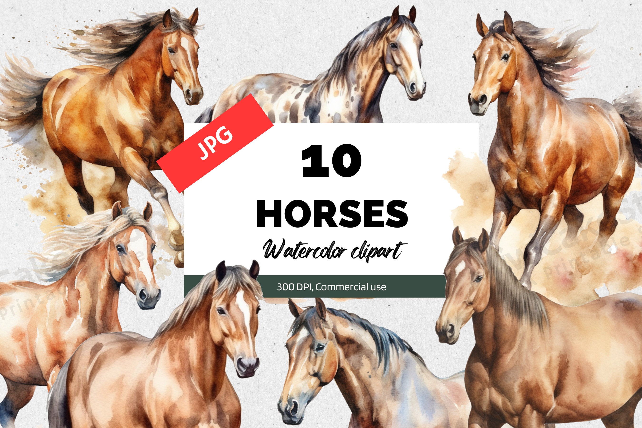 Watercolor Horse Clipart High Quality JPGS Nursery Decor - Etsy