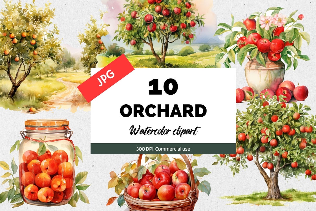 Watercolor Orchard Clipart, 10 High Quality Jpgs, Commercial Use ...