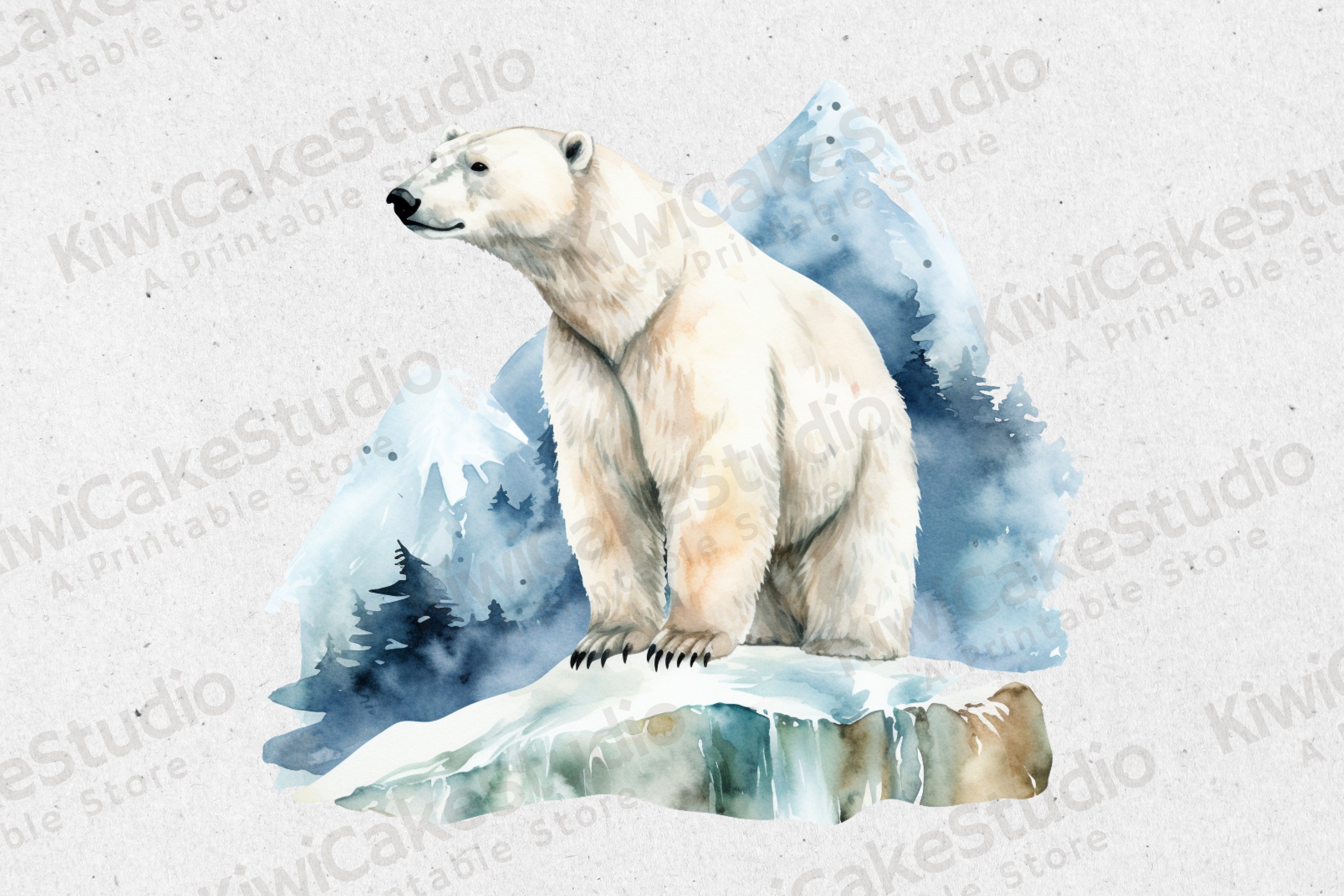 Watercolor Polar Bear Clipart, 10 High Quality Clipart, Card Making ...