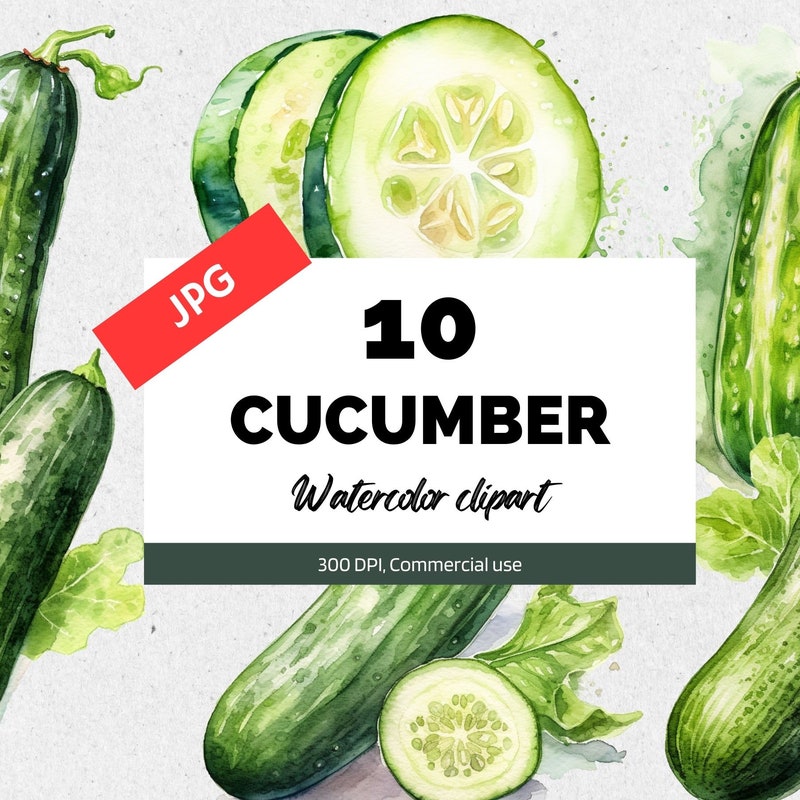 Cucumber Party - Etsy