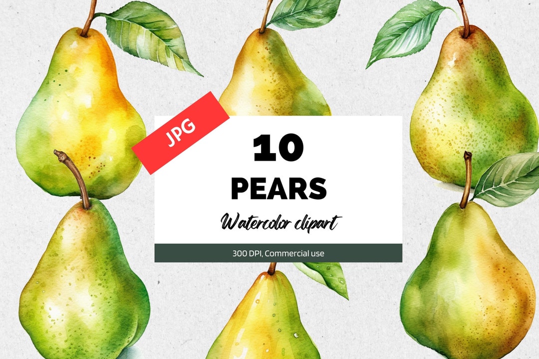 Watercolor Pears Clipart, 10 High Quality Jpgs, Summer Fruit ...