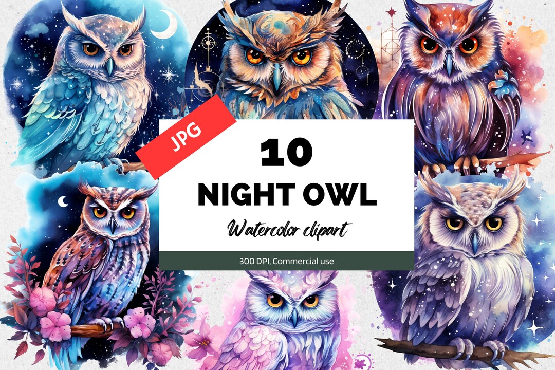 10 Watercolor Night Owl Clipart, 10 High Quality Jpgs, Celestial Owls ...