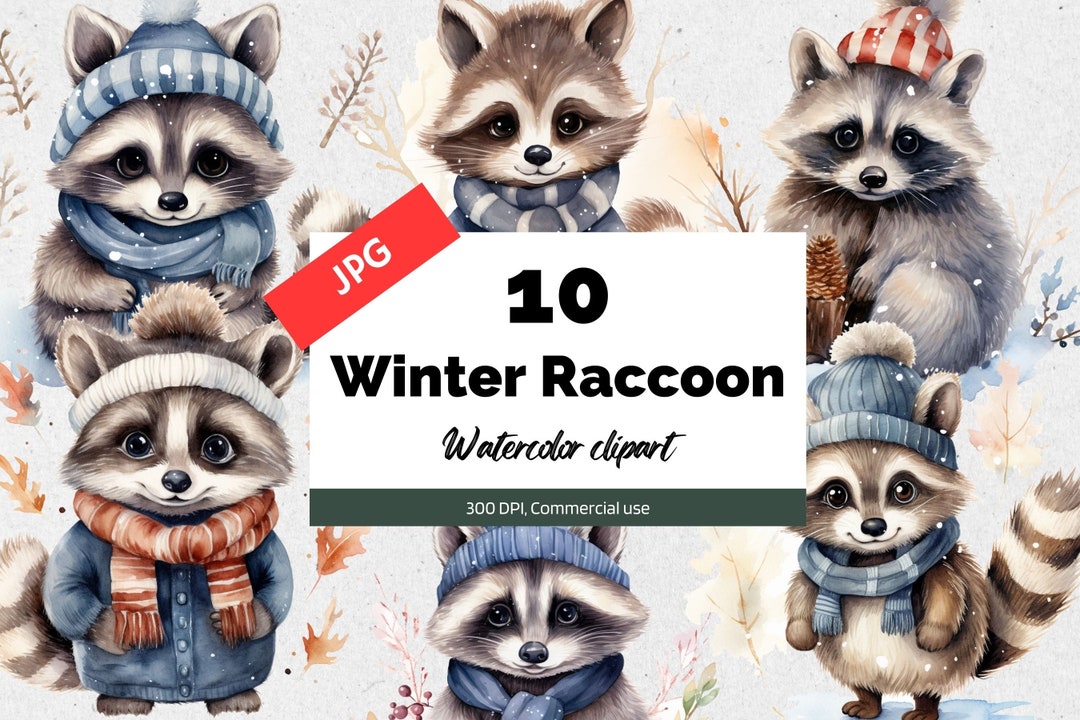 Watercolor Raccoon Clipart, 10 High Quality Jpgs, Commercial Use ...