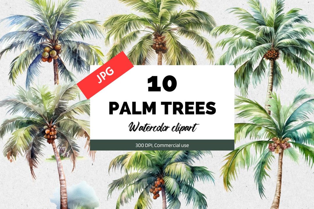 Watercolor Palm Tree Clipart JPG, Tropical Island, Commercial Use ...