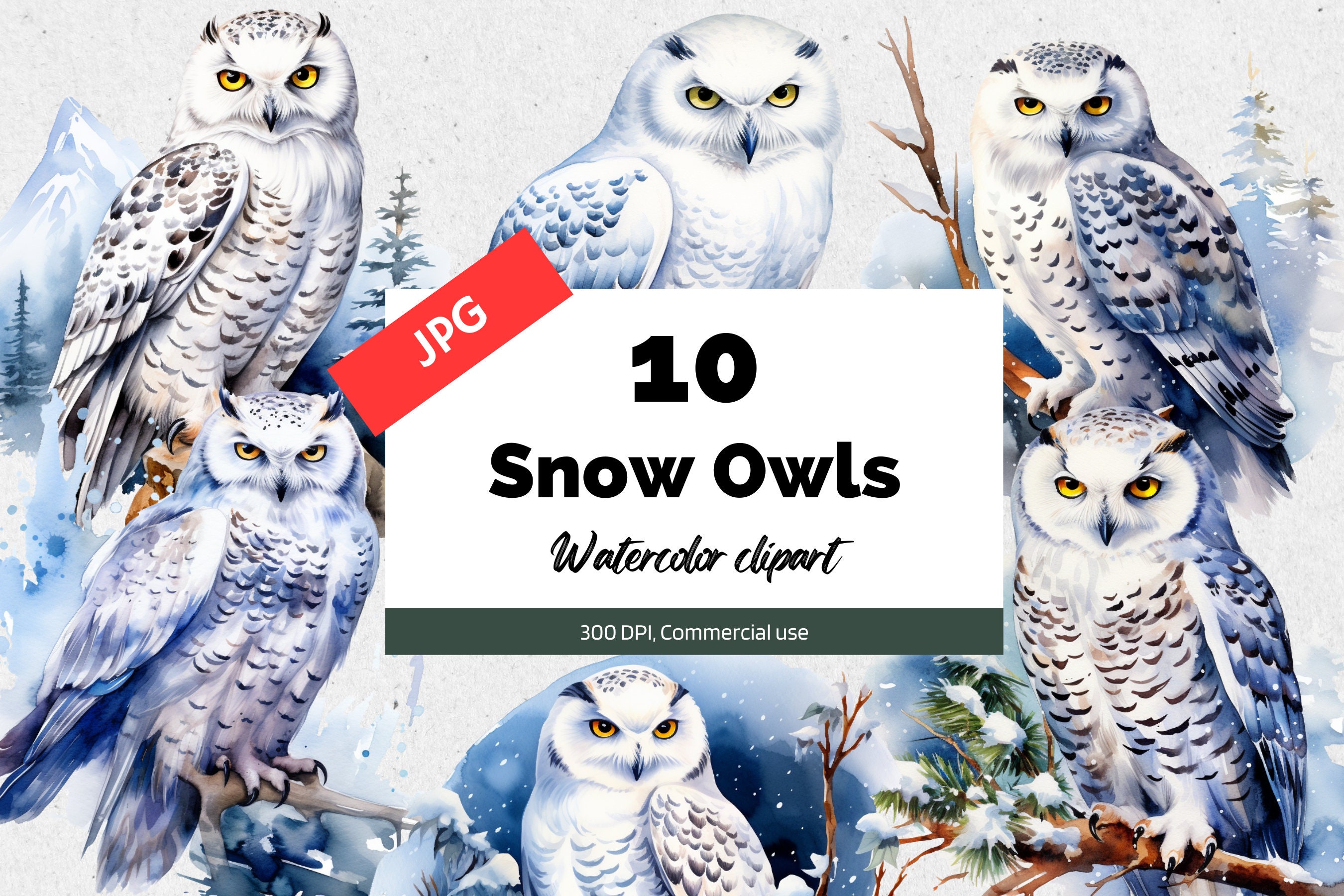 Watercolor Snow Owl Clipart, 10 High Quality Jpgs, Commercial Use, Card ...