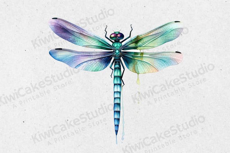 Watercolor Dragonfly Clipart, 10 High Quality Jpgs, Insect Illustration, JPG Graphics, Scrapbook ...