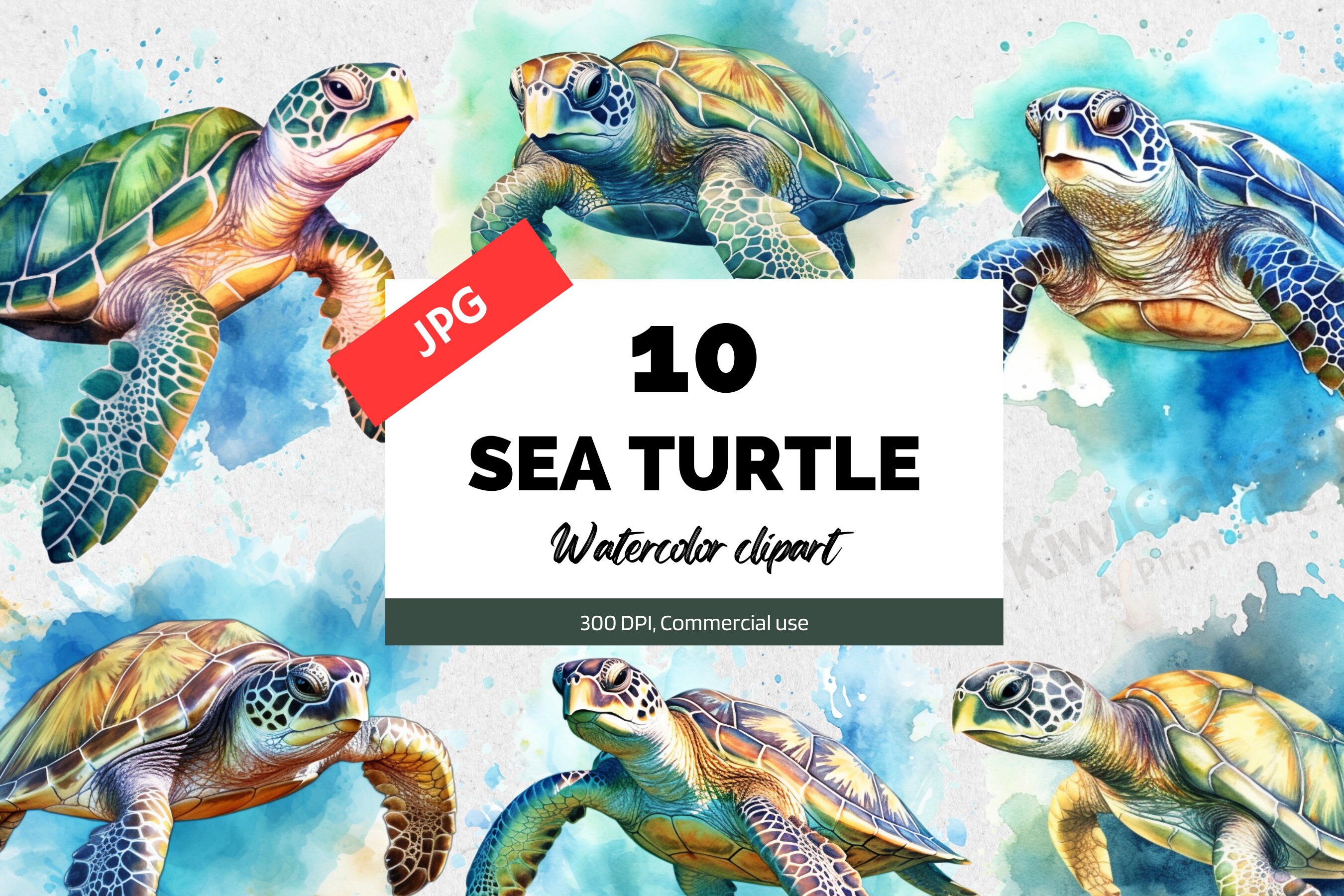 Watercolor Sea Turtle Clipart, Nautical Ocean Animals, 10 High Quality ...
