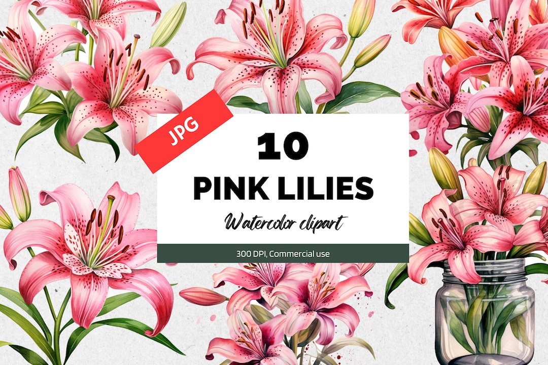 Watercolor Pink Lily Clipart, 10 High Quality Jpgs, Scrapbooking ...