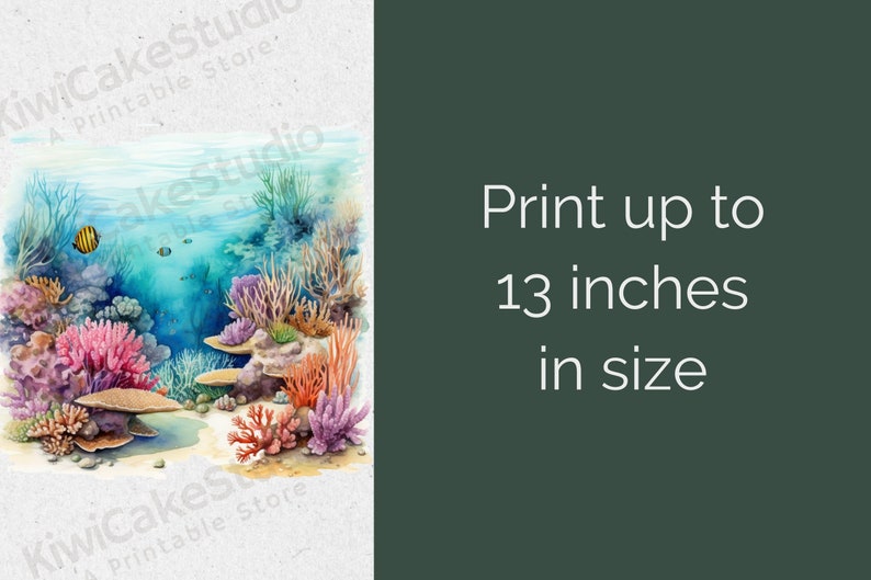 Great Barrier Reef Australia Clipart, 10 High Quality Jpgs, Commercial ...