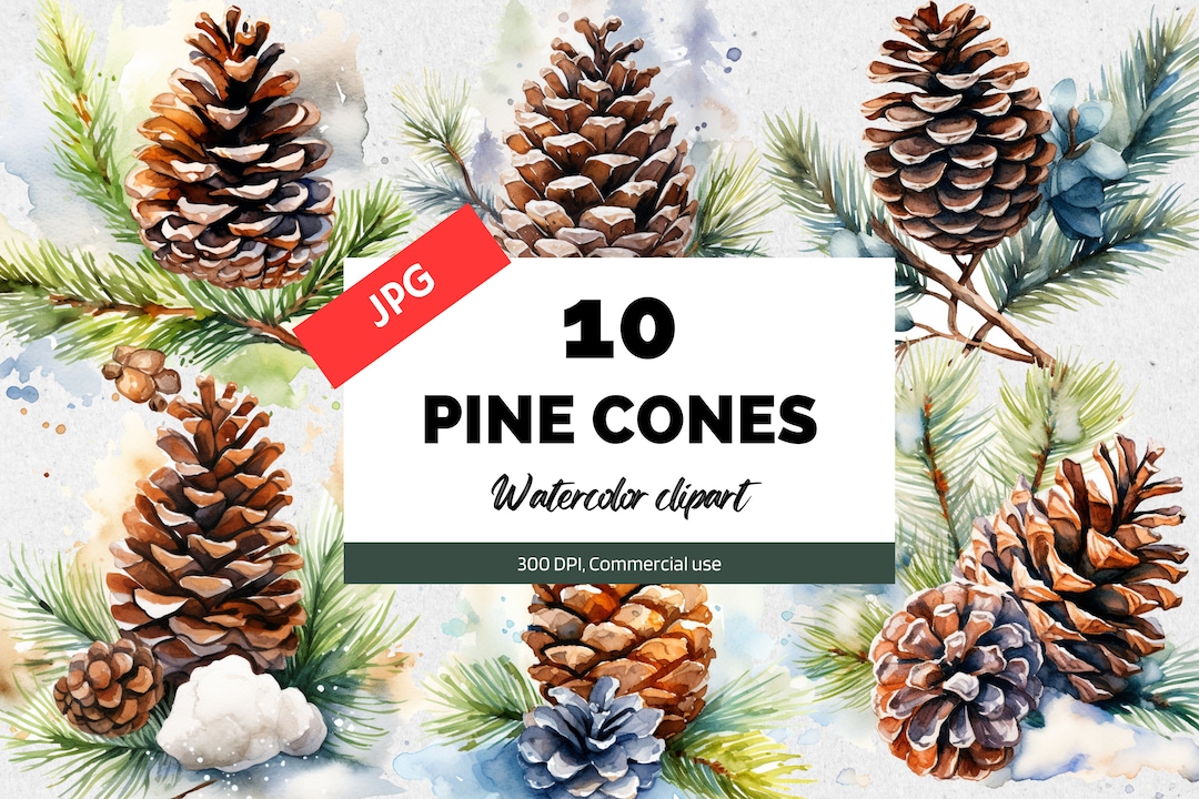 Watercolor Pine Cones Clipart, 10 High Quality Jpgs, Christmas Clip Art ...