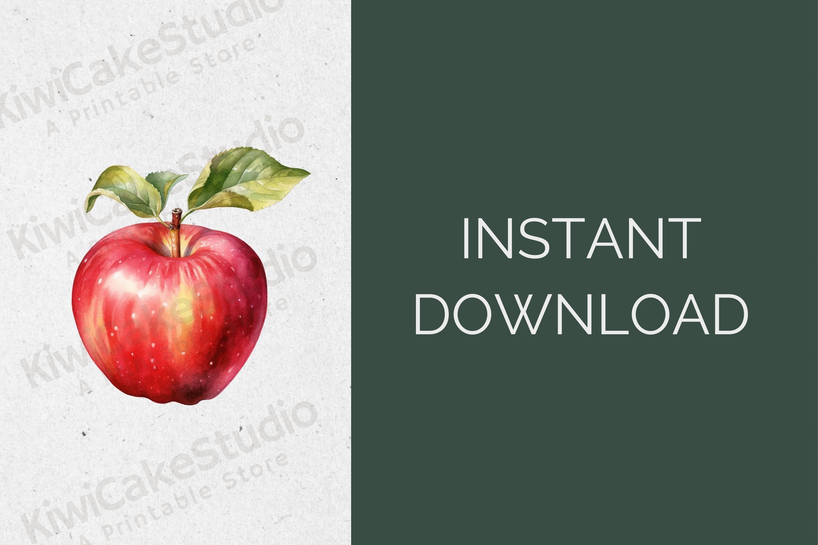 Watercolor Apples Clipart, Botanical Summer Fruit, Cookbook Digital ...