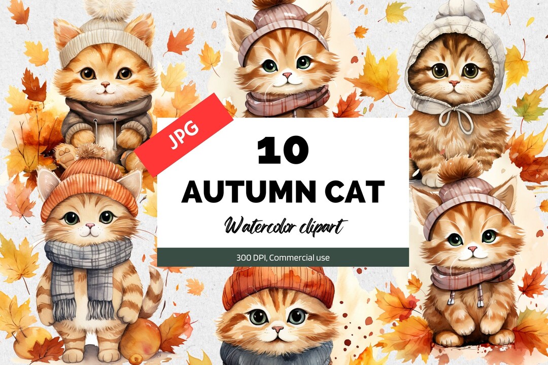 Autumn Cat Clipart, 10 High Quality Jpgs, Commercial Use, Instant ...