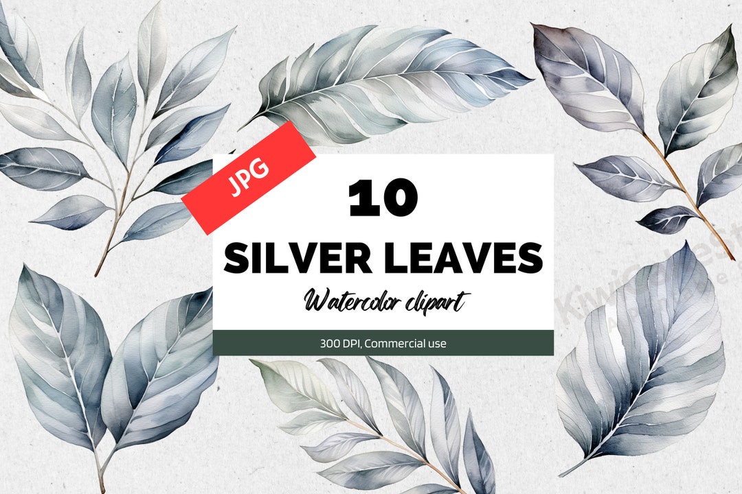 Watercolor Silver Leaf Clipart, 10 High Quality Jpgs, Silver Leaves ...