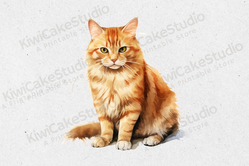 Watercolor Ginger Cat Clipart JPG, Cute Cats and Kittens, Card Making ...