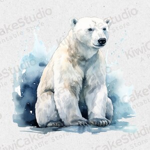 Watercolor Polar Bear Clipart, 10 High Quality Clipart, Card Making ...