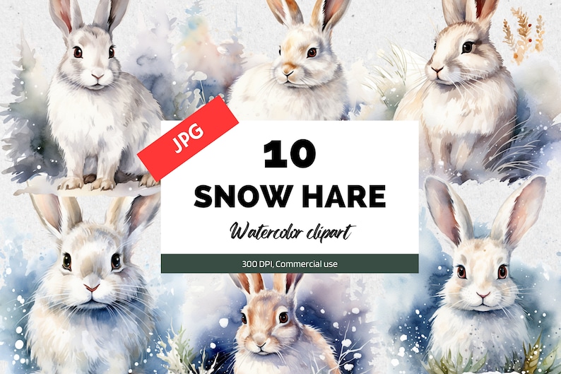 Watercolor Snow Hare Clipart, 10 High Quality Jpgs, Card Making ...