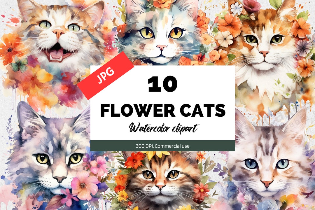 Watercolor Cats With Flowers Clipart, 10 High Quality Jpgs ...