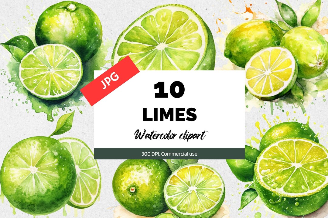 Watercolor Lime Clipart, 10 High Quality Jpgs, Commercial Use, Instant ...
