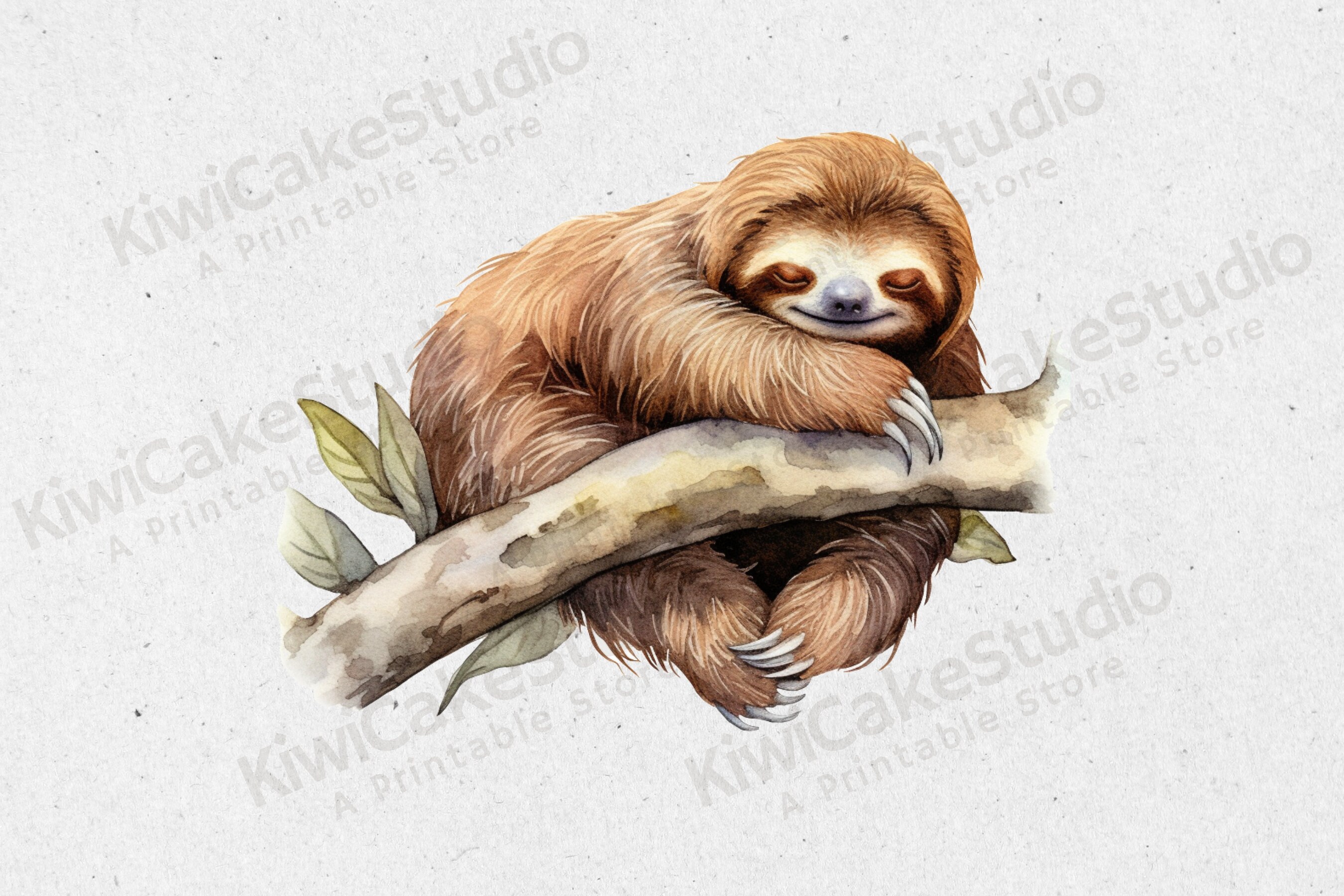 Watercolor Sloths Clipart, High Quality Jpgs, Commercial Use, Digital ...