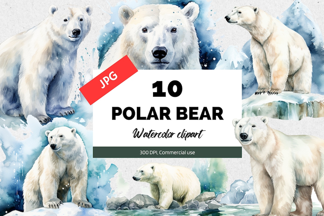 Watercolor Polar Bear Clipart, 10 High Quality Clipart, Card Making ...