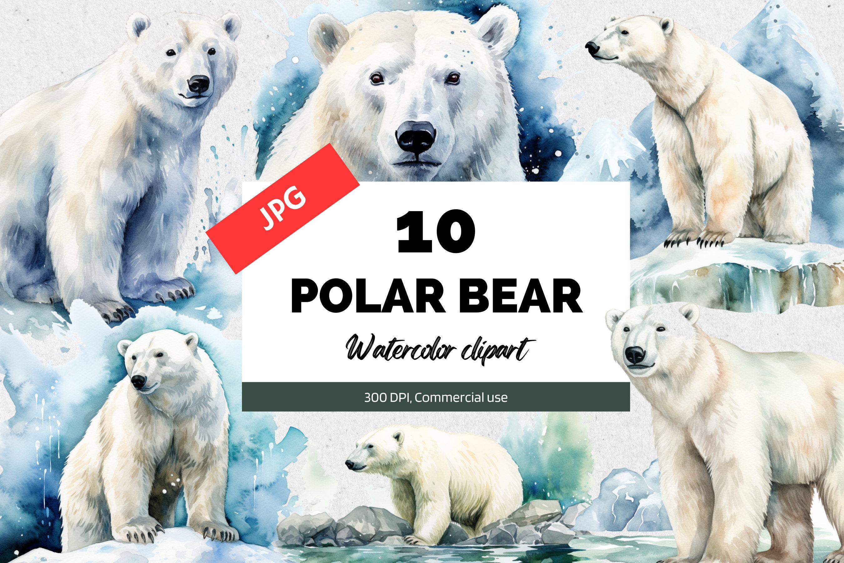 Watercolor Polar Bear Clipart, 10 High Quality Clipart, Card Making ...