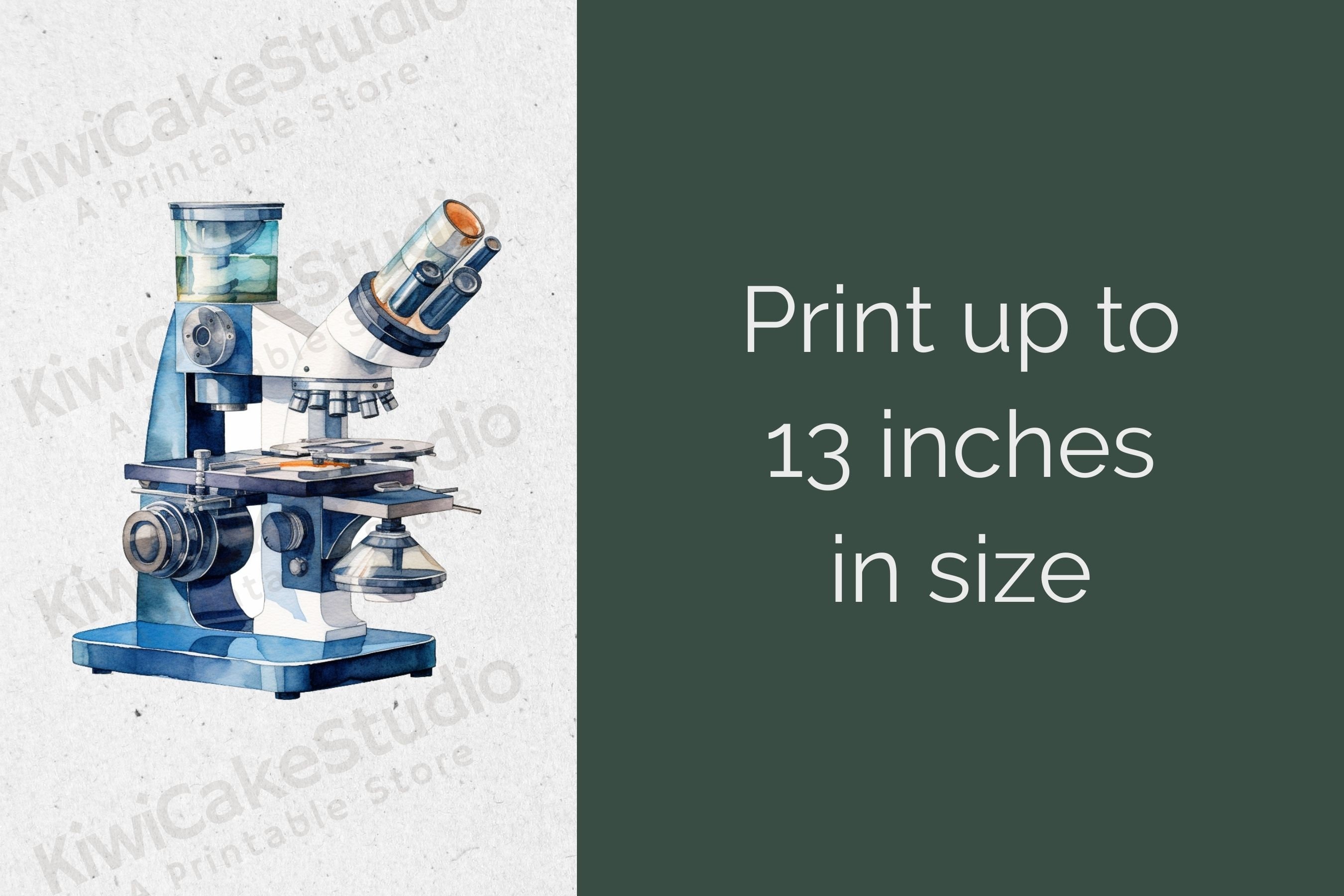 Watercolor Microscope Clipart 10 High Quality Jpgs - Etsy