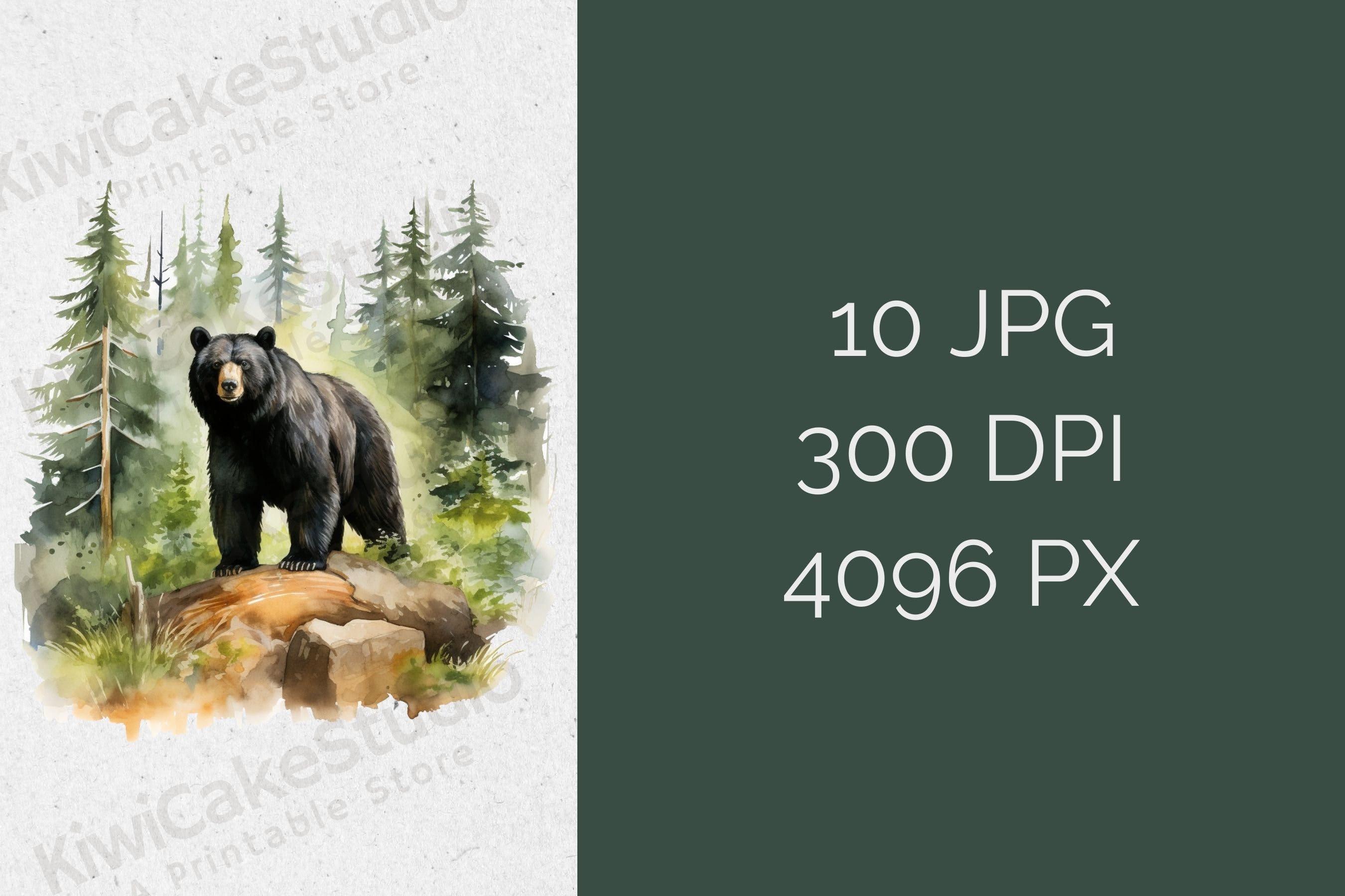 Watercolor Black Bear Clipart, 10 High Quality Jpgs, Commercial Use ...